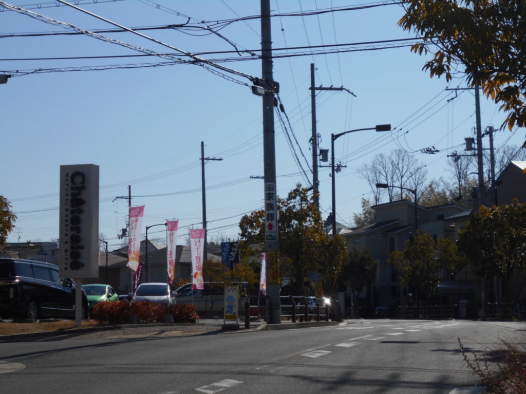 【箕面市】魅せるサラダでヘルシーに！SYLPHY SALADEでサラダランチはいかがですか～☆ | 号外NET 箕面市・池田市